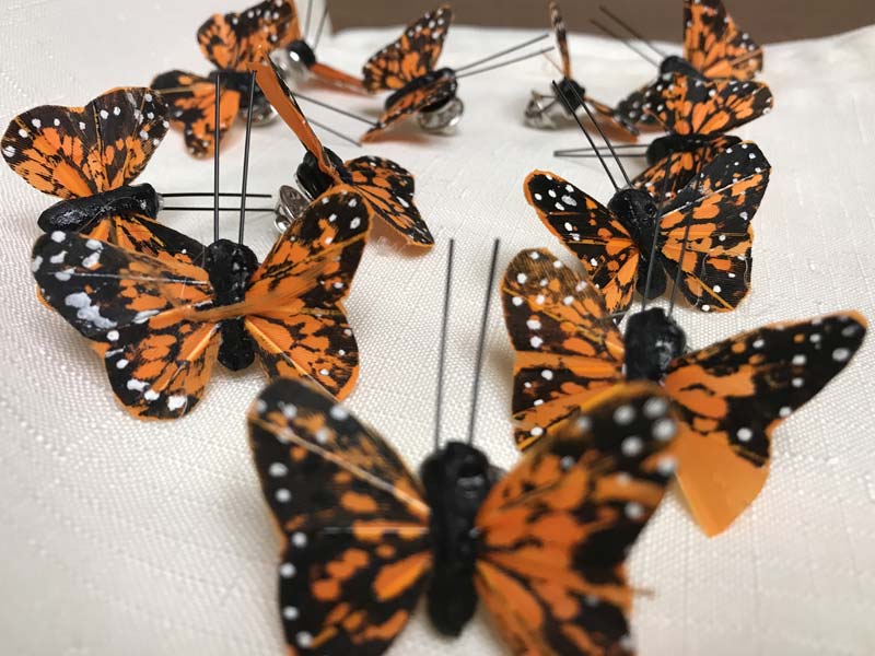 Commemorative Butterfly Release - Pikes Peak Hospice & Palliative Care